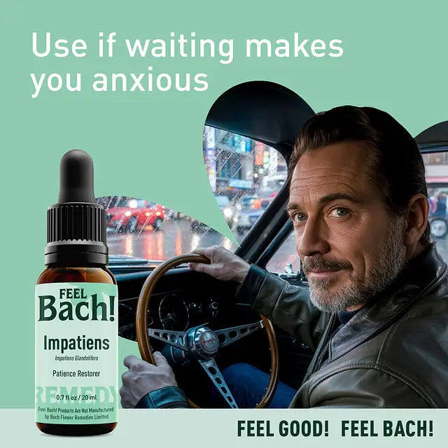 Impatiens Flower Essence – bachflowers.com