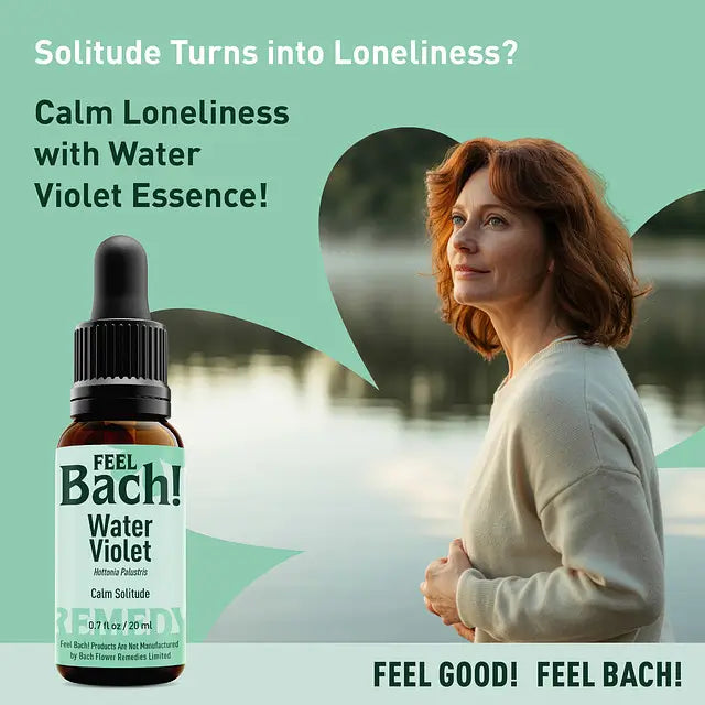 Water Violet Flower Essence – bachflowers.com