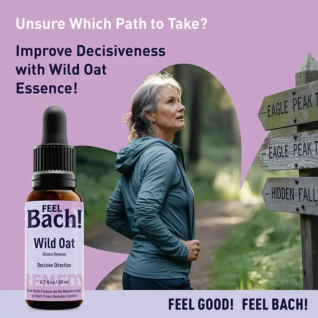 Wild Oat Flower Essence – bachflowers.com