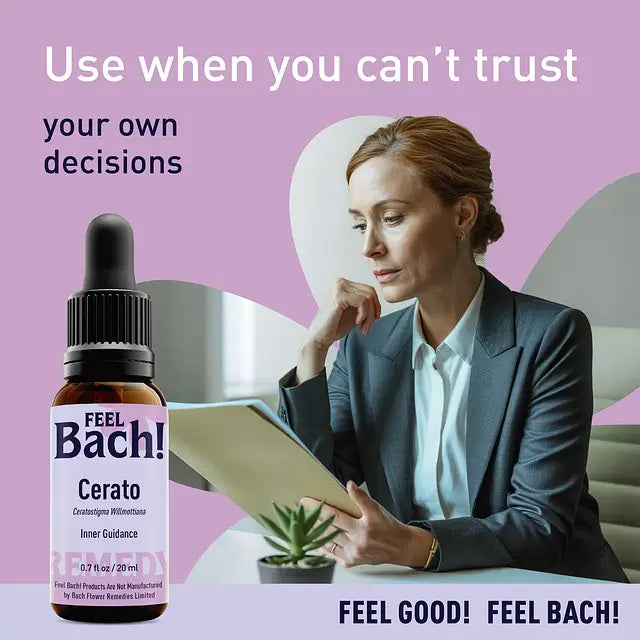 Cerato Flower Essence – bachflowers.com